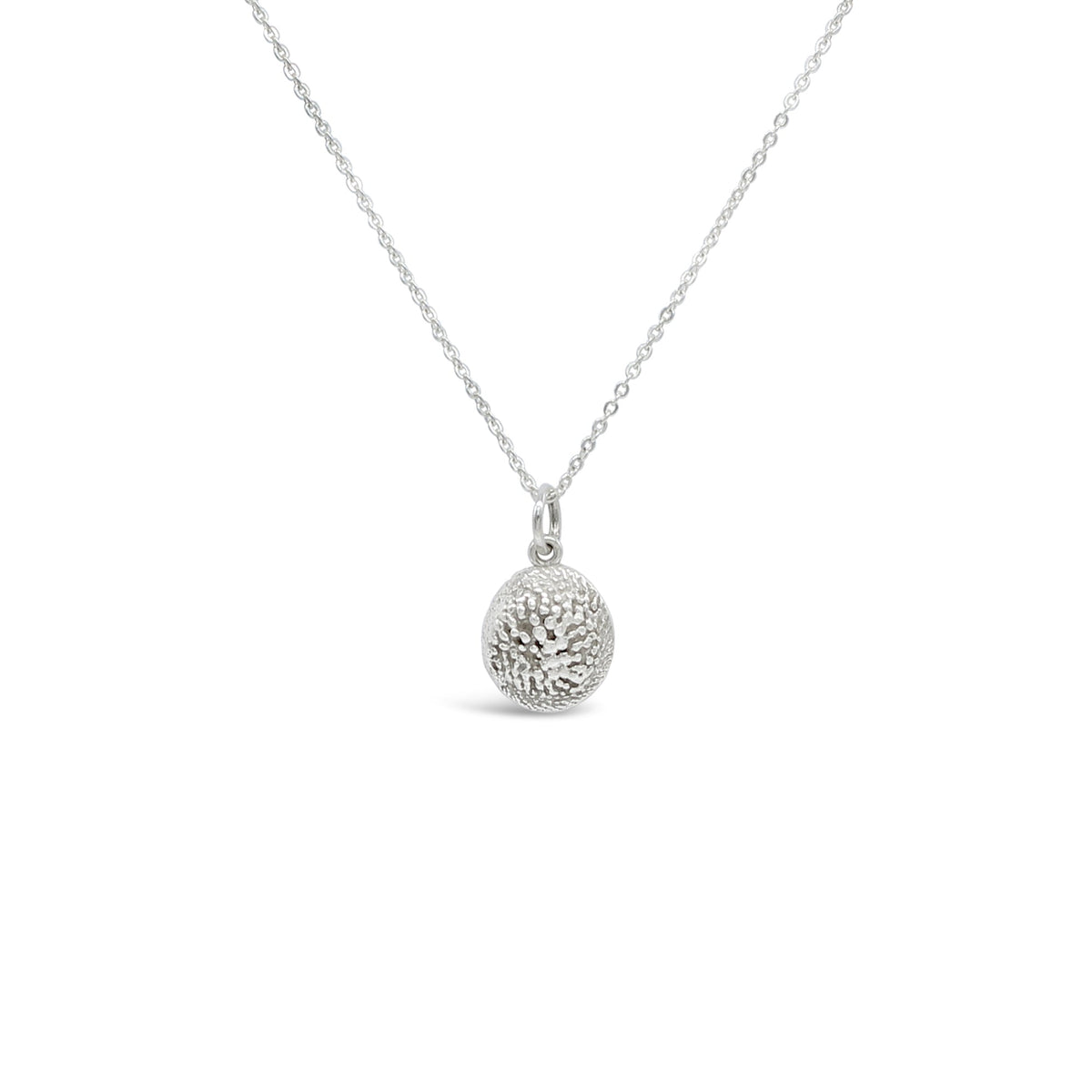 Operculum Shell Pendant in Silver
